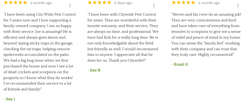 City Wide Pest Control, Inc