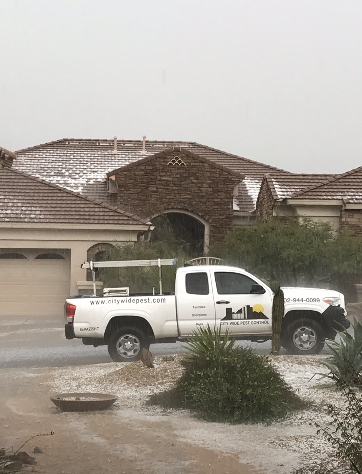 City Wide Pest Control, Inc